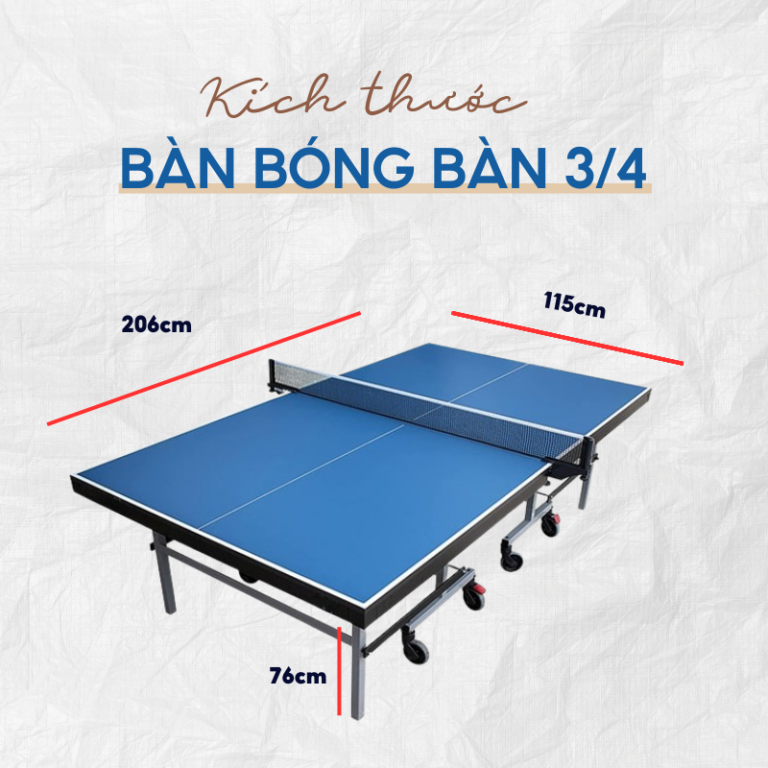 Kích Thước Bàn Bóng Bàn: 4 Loại Kích Thước Phổ Biến