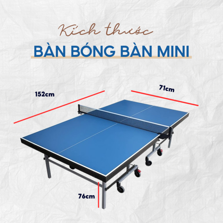 Kích Thước Bàn Bóng Bàn: 4 Loại Kích Thước Phổ Biến